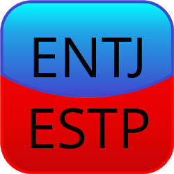 ENTJ or ESTP Test