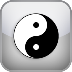 Yin/Yang Energy Test