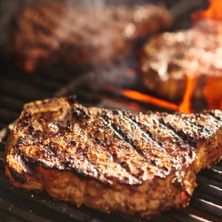 Food Preference Test